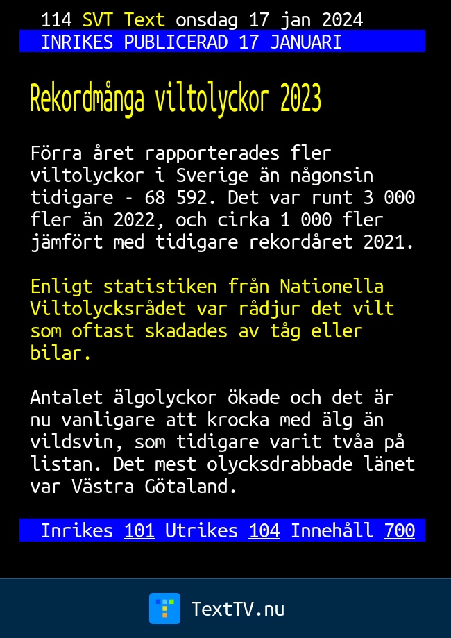 Rekordmånga viltolyckor 2023 - SVT Text TV
